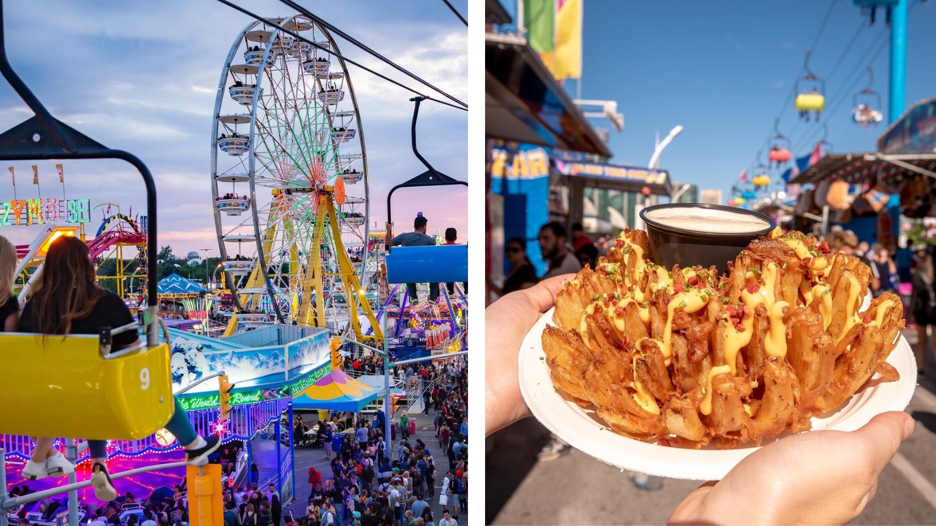 10 Incredible Events To Check Out In Toronto This Summer