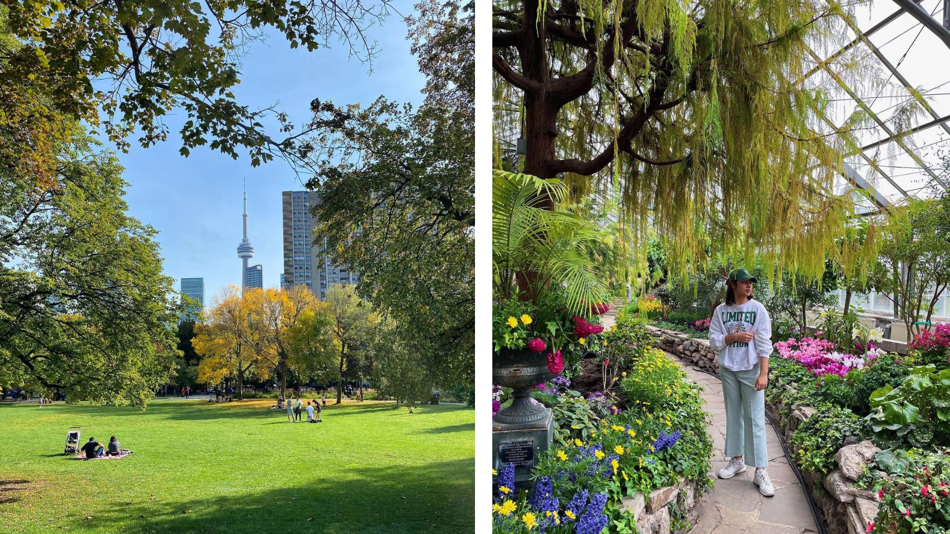 Peaceful Outdoor Places To Meditate Outside In Toronto