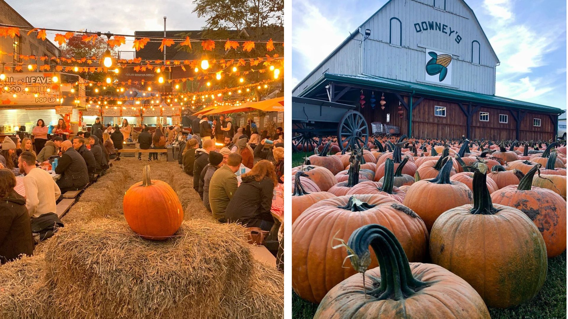 Fall Activities To Try In And Around Toronto This Year