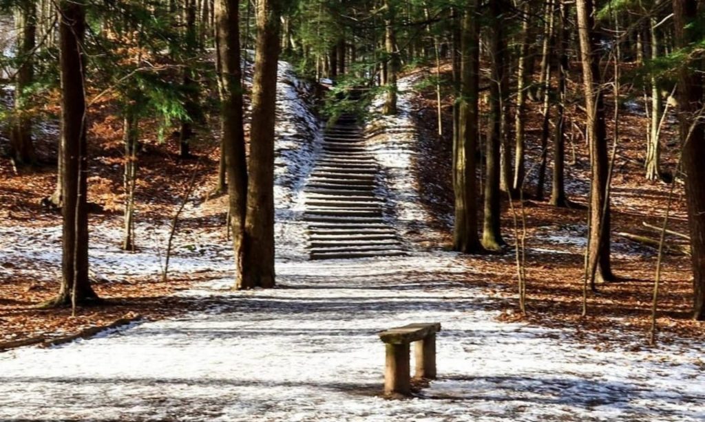 Best Winter Hiking Trails Near Toronto
