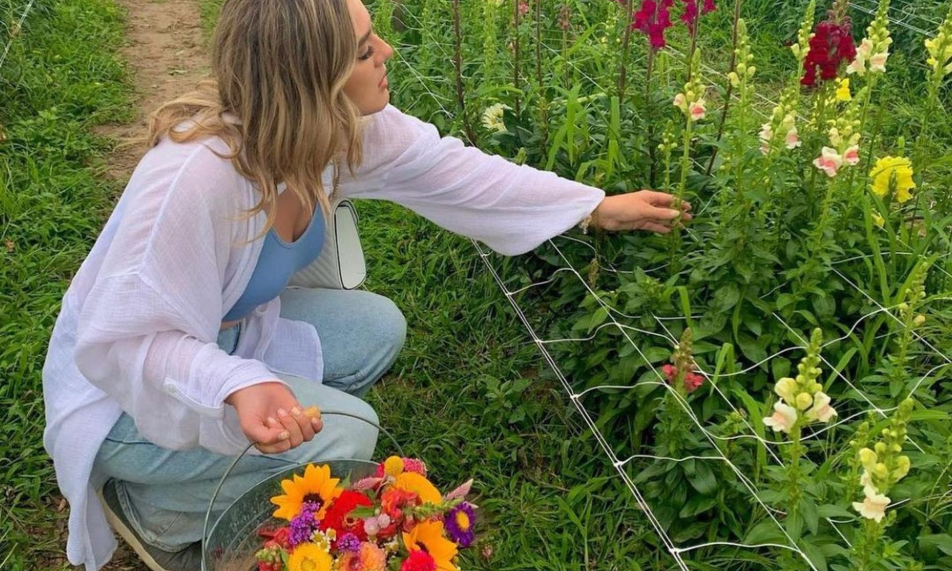 7 Farms To Pick Flowers Near Toronto