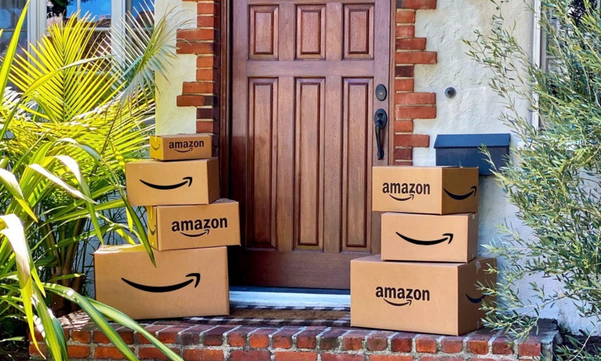 What s In Our Carts For Amazon Prime Day What s In Our Carts For Amazon Prime Day